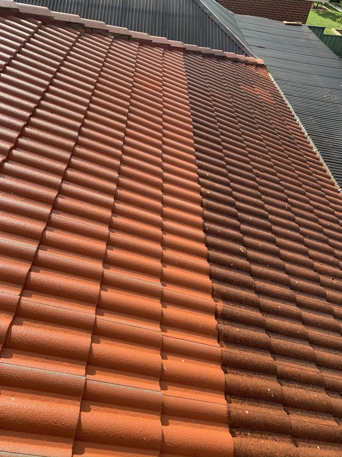 How To Remove Moss and Lichen from Roof Tiles | The Pressure Cleaning Guys